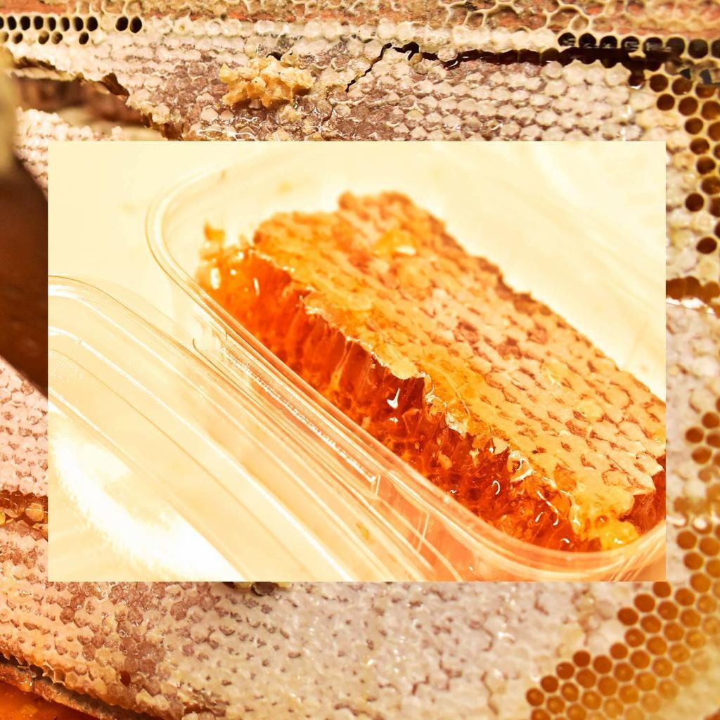 Favo de Mel Natural: 100% Puro direto do apiário. Mel.com.br