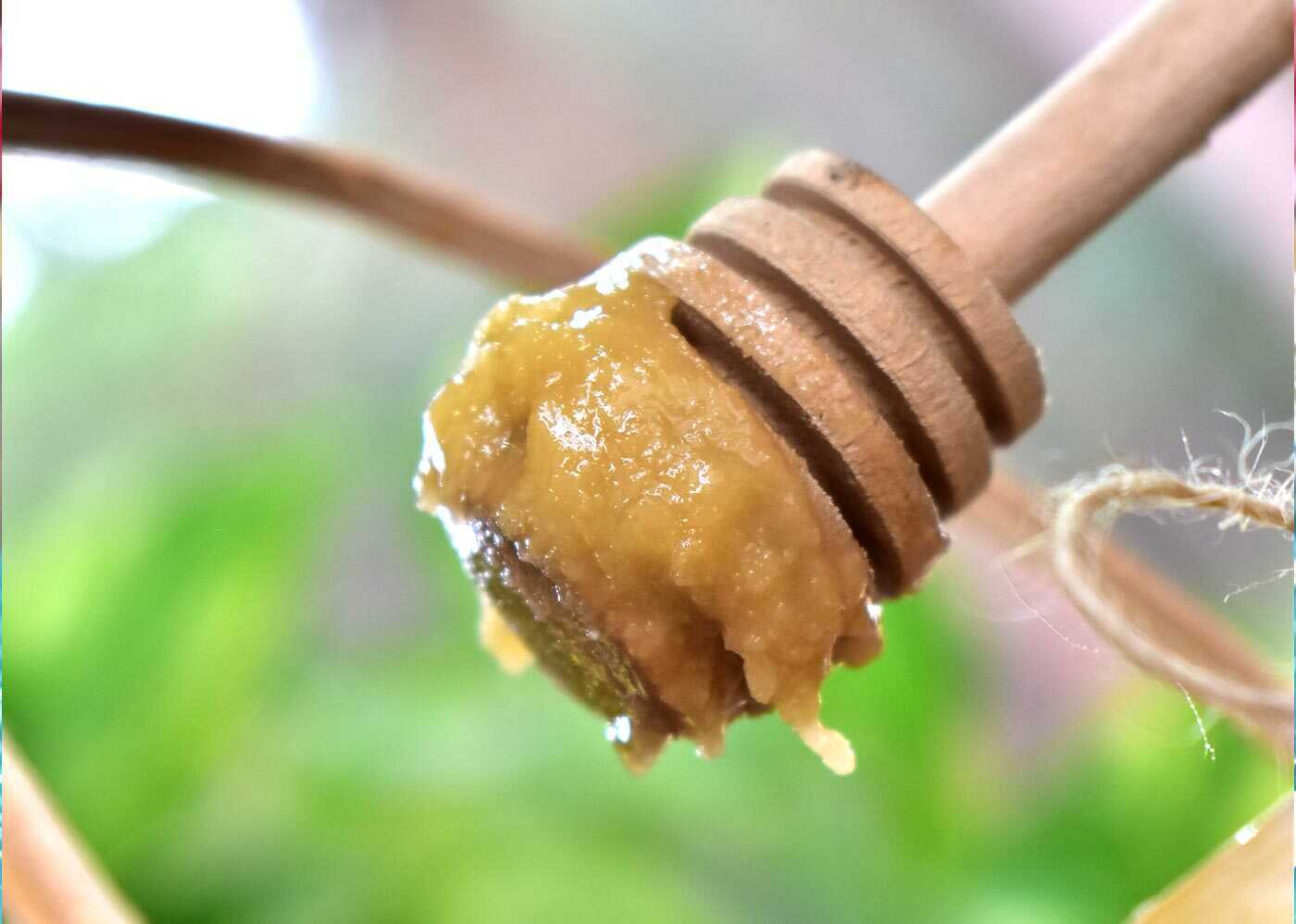 Mel Cremoso Florada Capixingui | Iraê Mel