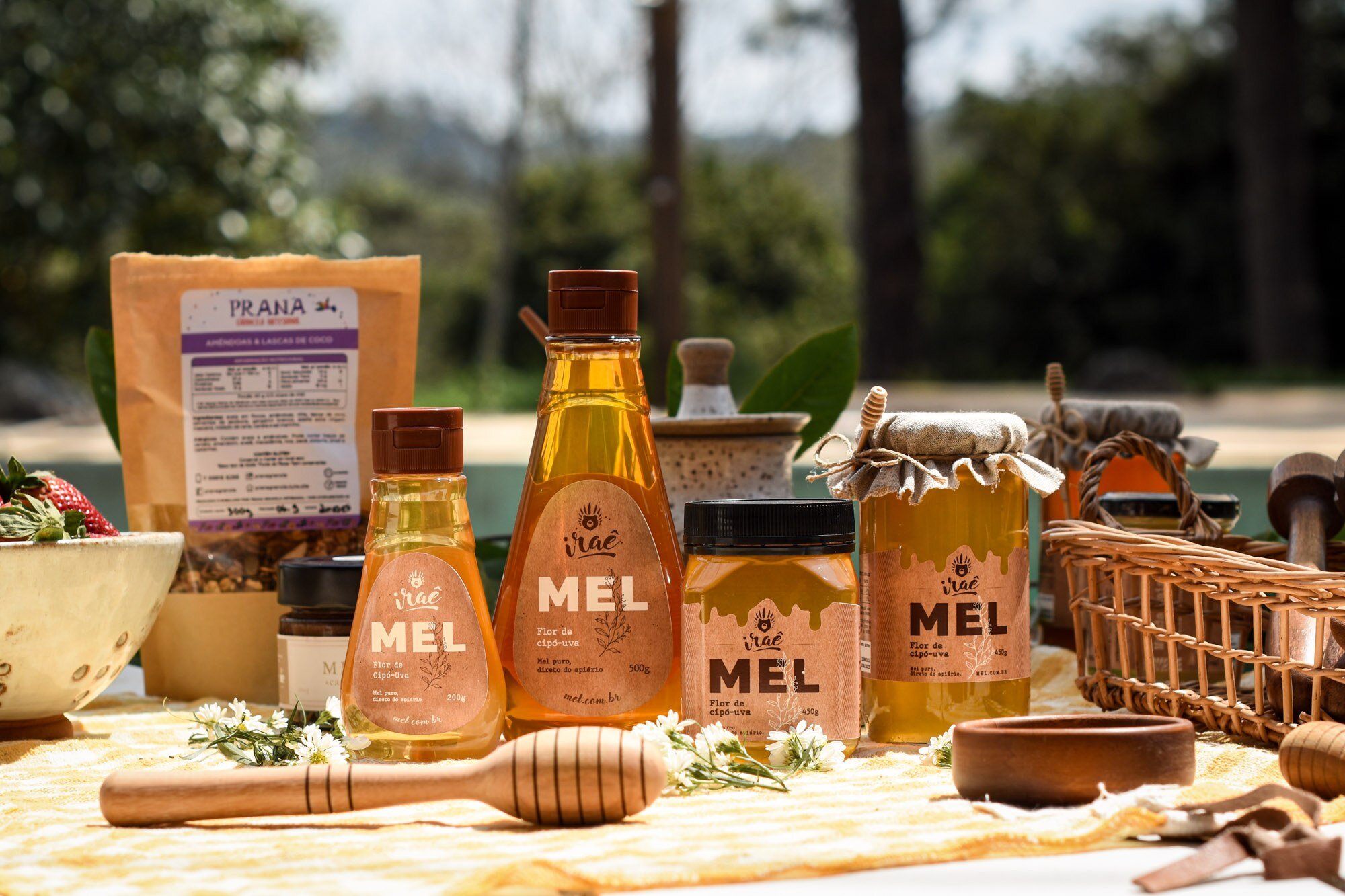 Loja do Mel | Comprar Mel 100% Puro, Direto do Produtor!