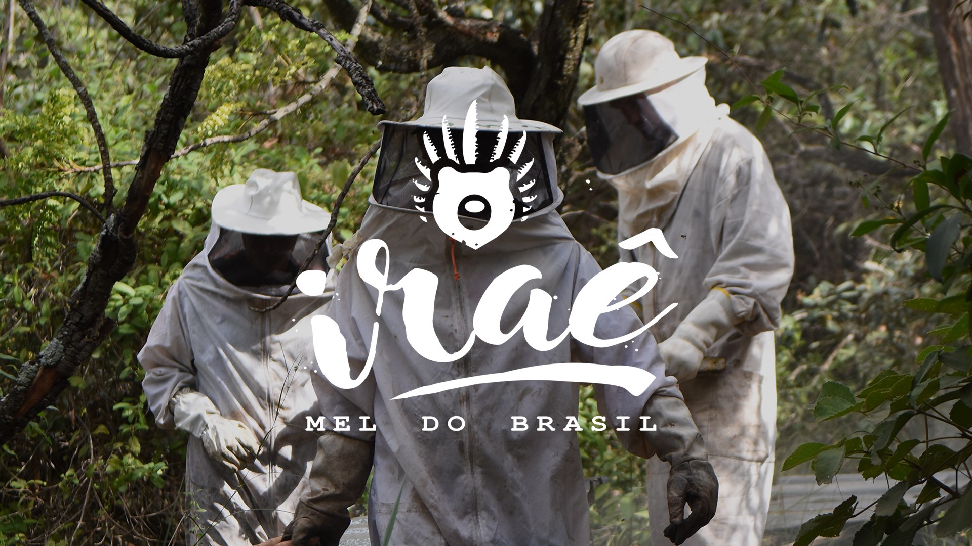 Comprar Mel Puro – Entrega para Todo Brasil | MEL (Loja Oficial)